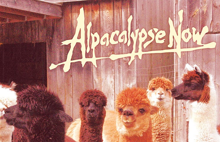 Alpacalypse Now