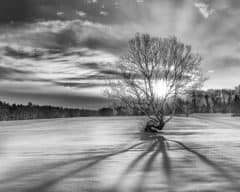 Portsmouth NH and Seacoast | PortsmouthNH.com