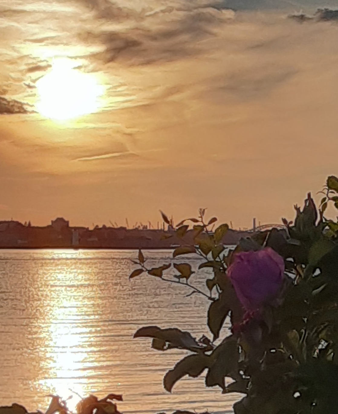 © Photo: Sunset Rose, Fort Foster | PortsmouthNH.com