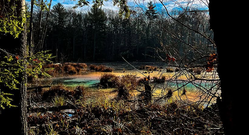 Portsmouth NH and Seacoast | PortsmouthNH.com